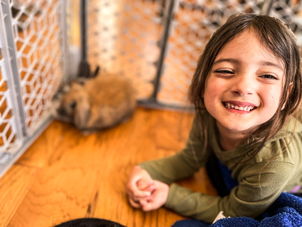 10 Things You Need to Know Before Buying a Rabbit - The Art of 1 Acre