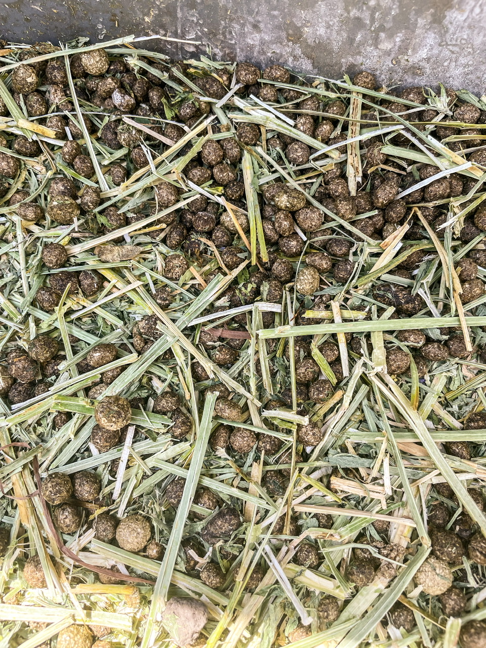 How to Fertilize Your Garden Using Rabbit Poop - The Art of 1 Acre