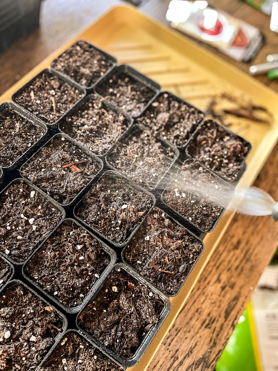 Ready, Set, Grow! A Simple Guide to Starting Seeds Indoors - The Art of ...