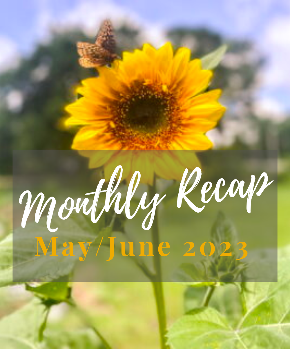May/June Recap 2023 - The Art of 1 Acre