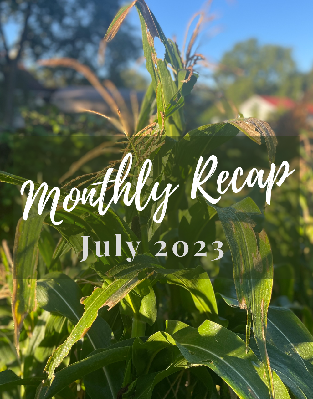 July Recap 2023 - The Art of 1 Acre
